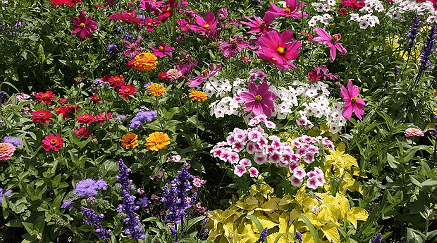 Gardening Tips for April – Choice Stores
