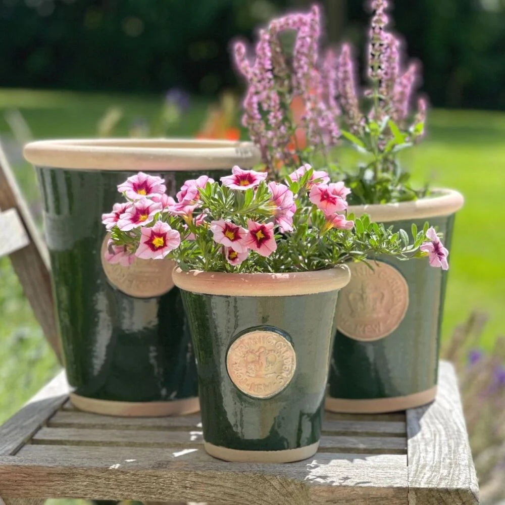 Plant Pots & Planters – Style & Growth for Every Irish Garden – Choice ...